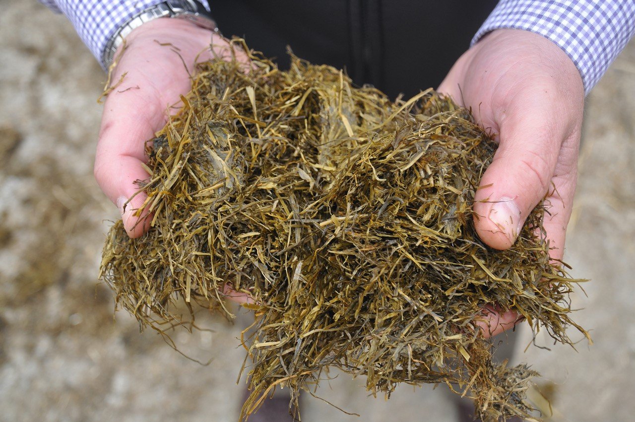 Five ideas to help boost silage in 2022 — Cut to clamp