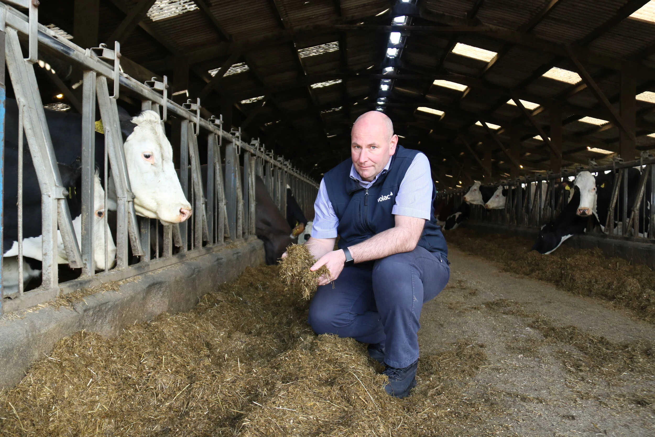 Keeping a cool silage head against waste — Cut to clamp