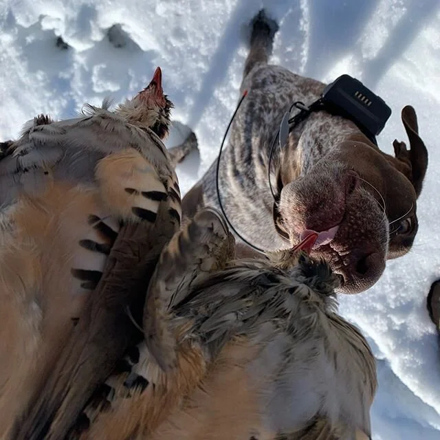 Contact — Chukar Chasers