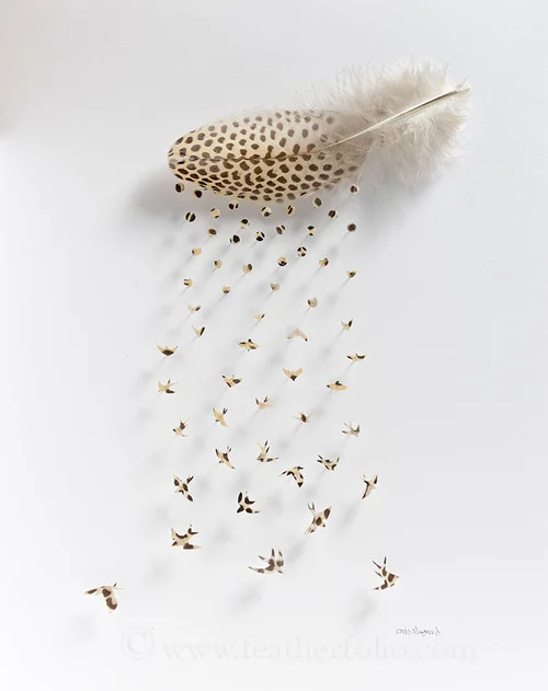 Feather Patterns: Inspiration — Featherfolio