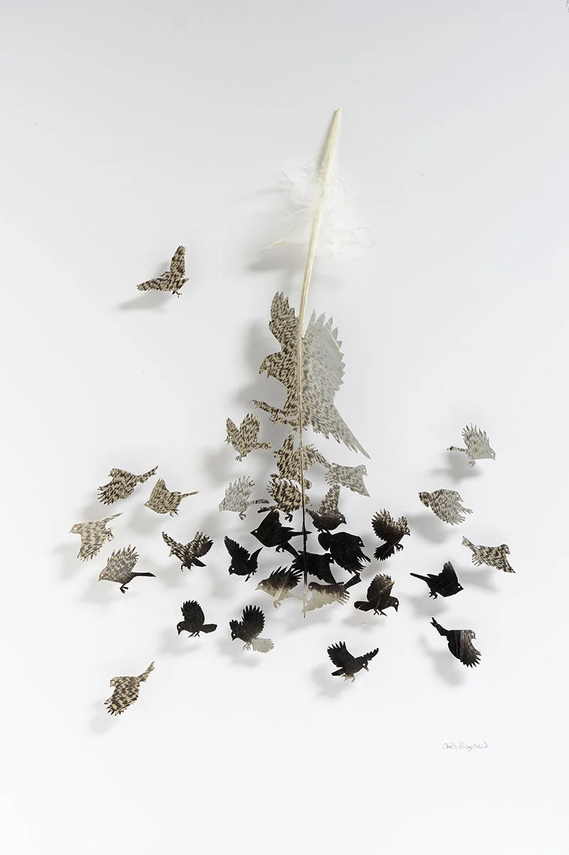 Events — Featherfolio