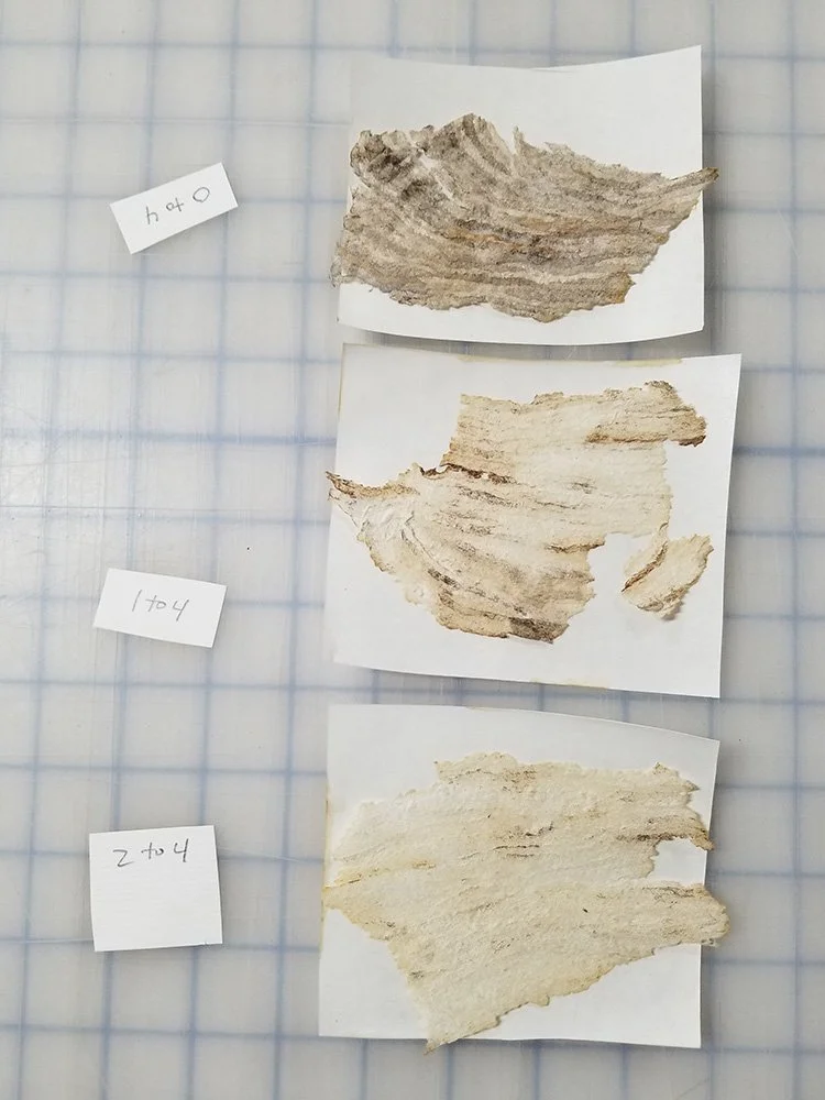 How to use wasp paper to make your own — Featherfolio