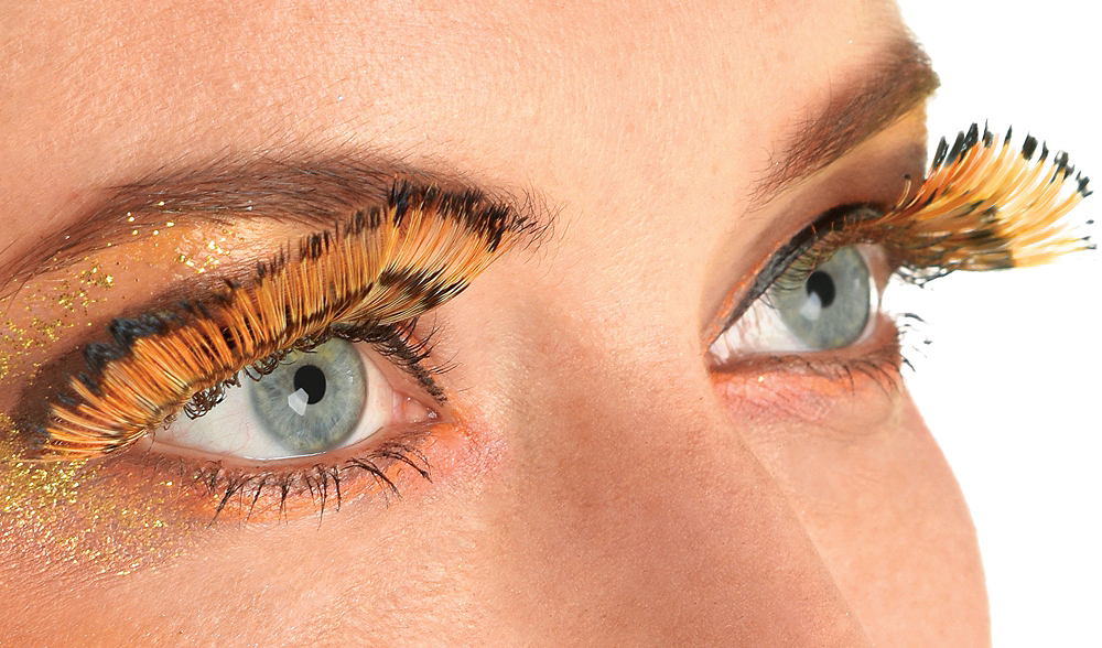 Blog — Featherfolio