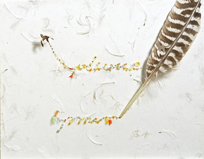 To Write — Featherfolio