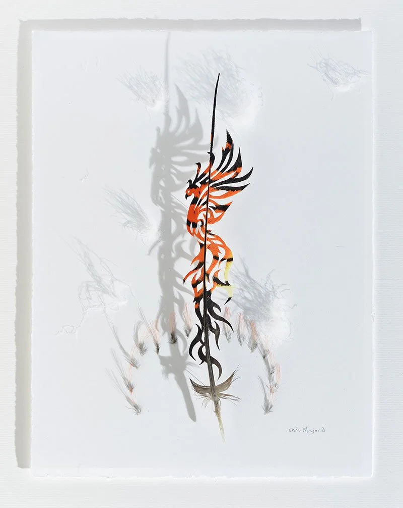 Blog — Featherfolio