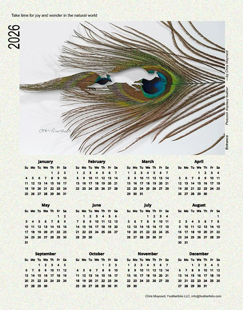 Exclusive Calendar Shop — Featherfolio