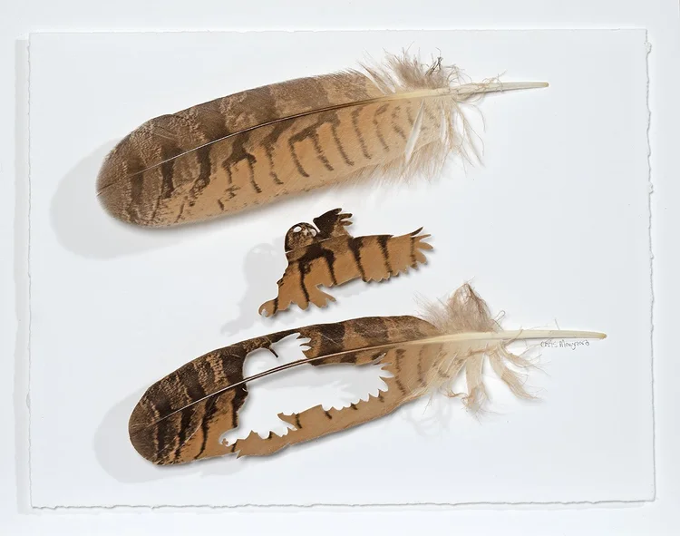 Blog — Featherfolio