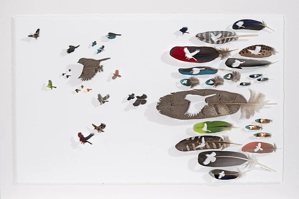 Blog — Featherfolio