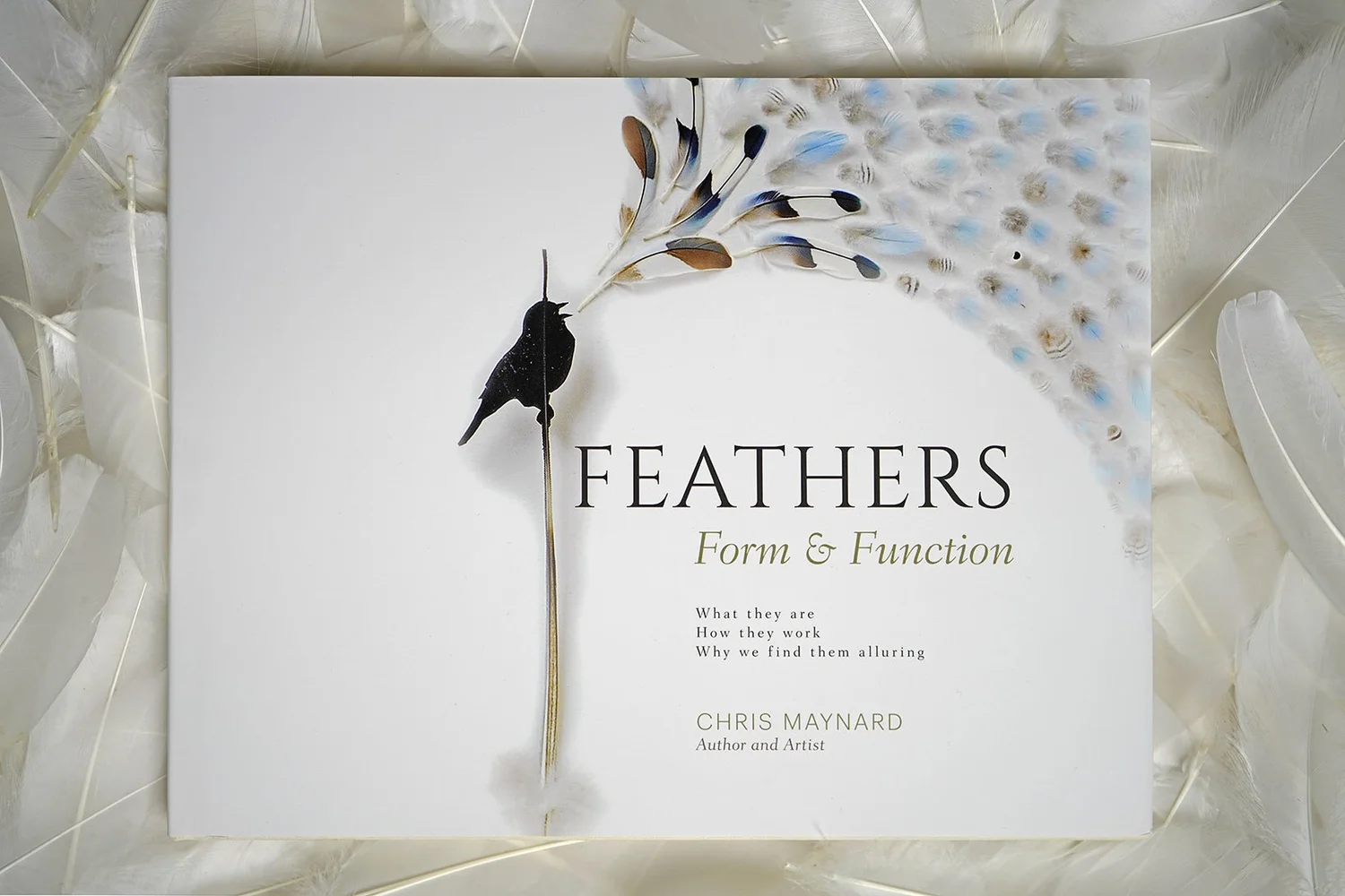 Featherfolio