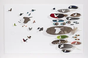 Blog — Featherfolio