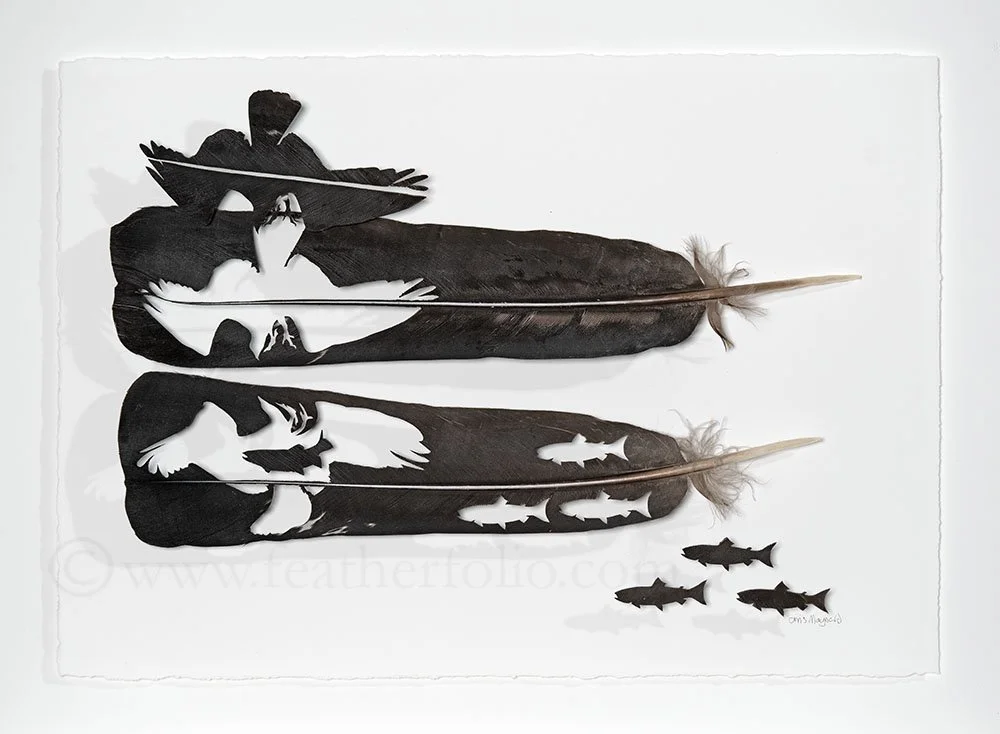 Blog — Featherfolio