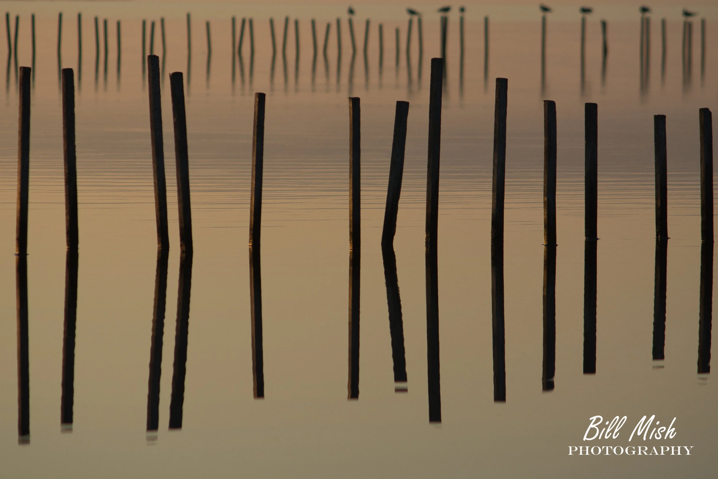 Portfolio — Bill Mish Photography