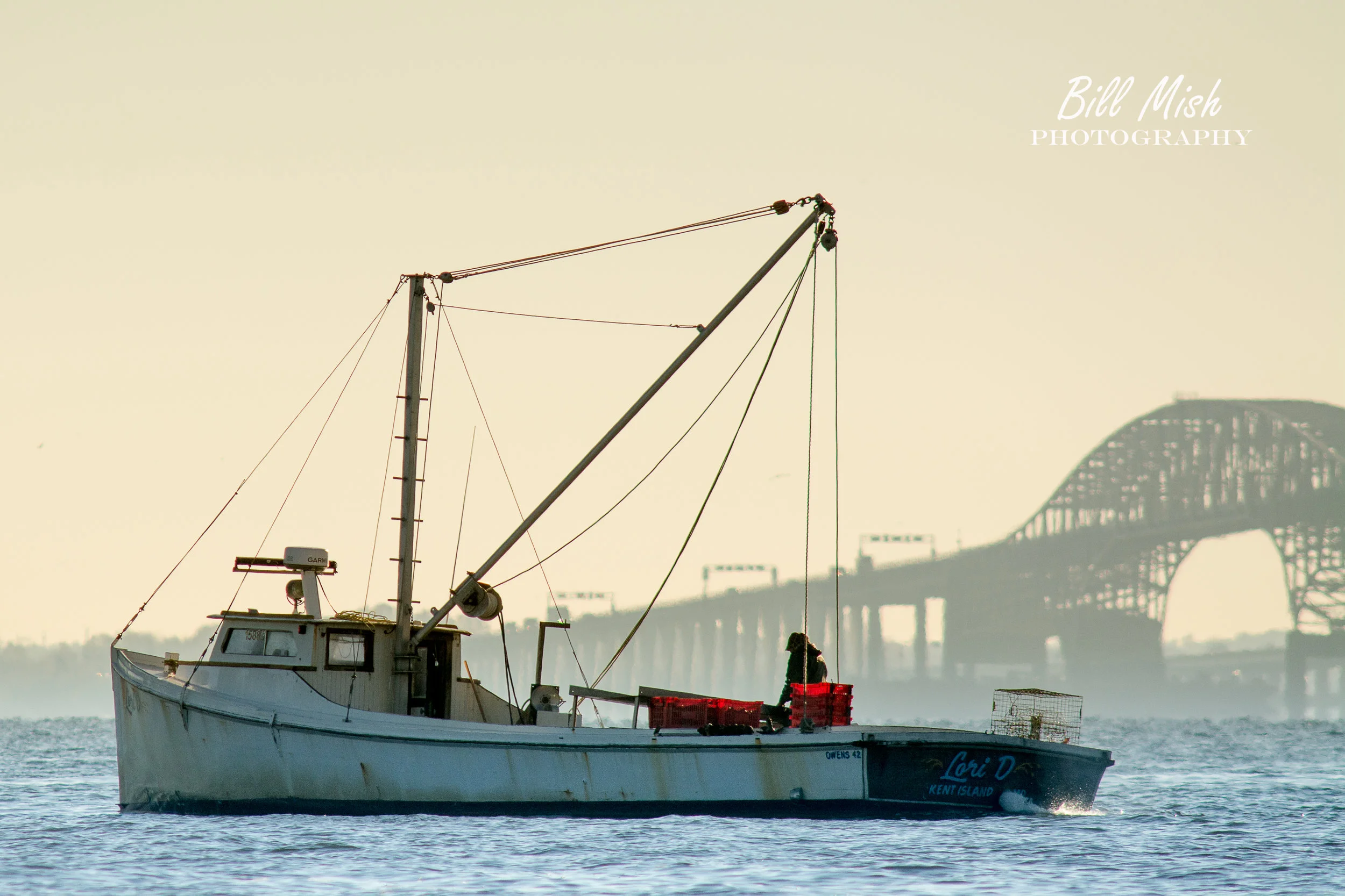 Portfolio — Bill Mish Photography