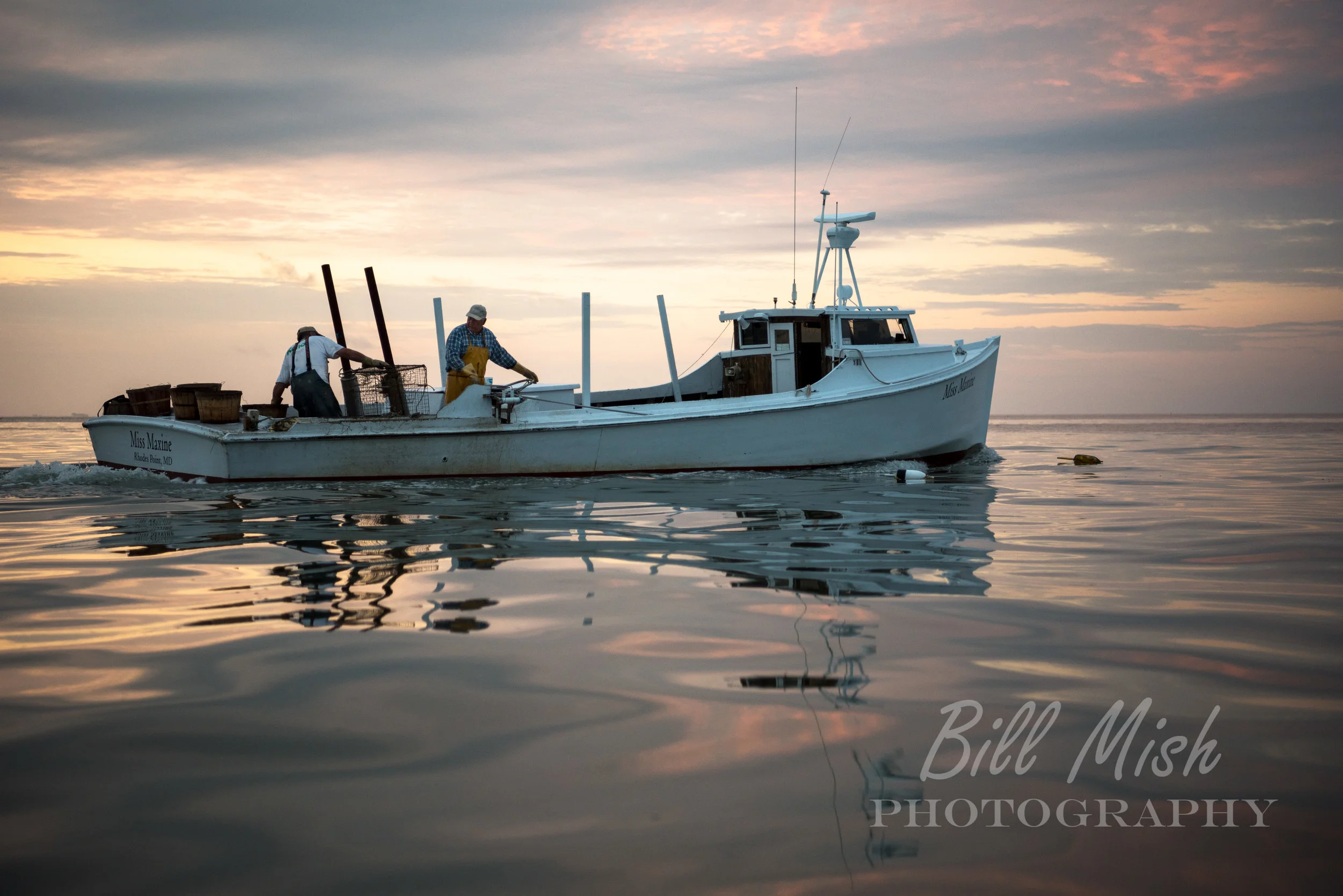 Portfolio — Bill Mish Photography