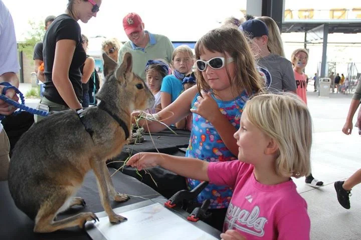 OMAHA PETTING ZOO - WILDLIFE ENCOUNTERS