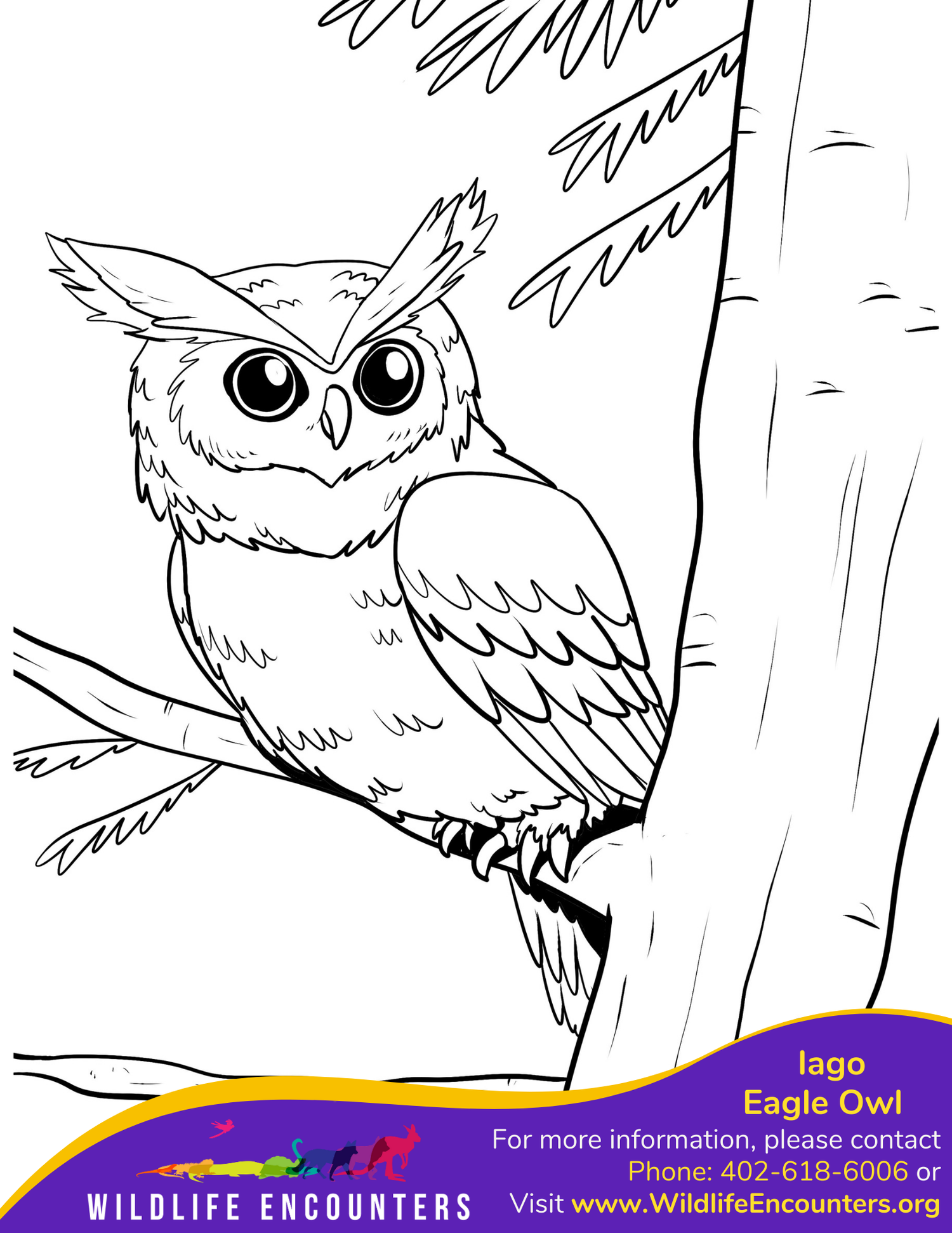 Coloring Book - WILDLIFE ENCOUNTERS