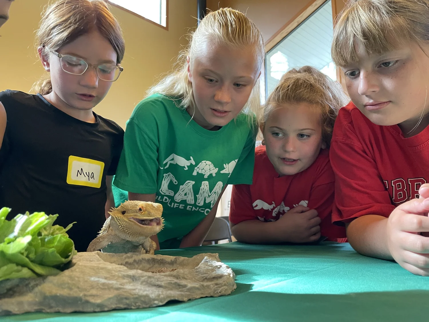 Omaha Summer Camp - WILDLIFE ENCOUNTERS