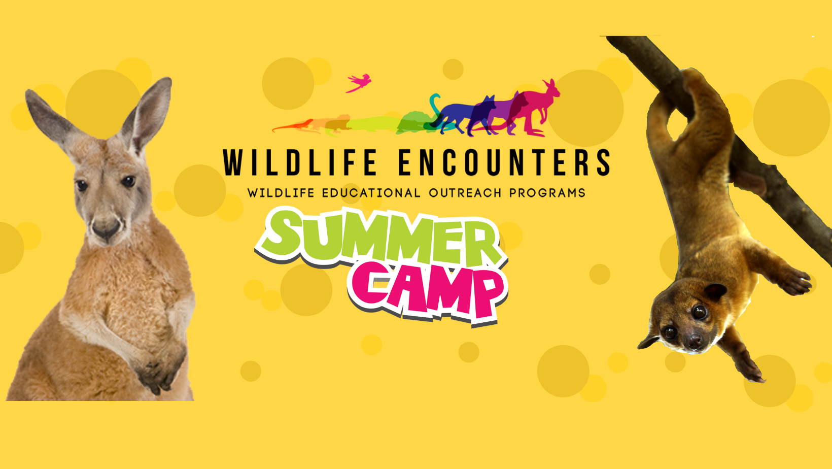 Omaha Summer Camp - WILDLIFE ENCOUNTERS
