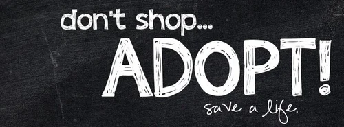 Adopt — Colville Valley Animal Sanctuary