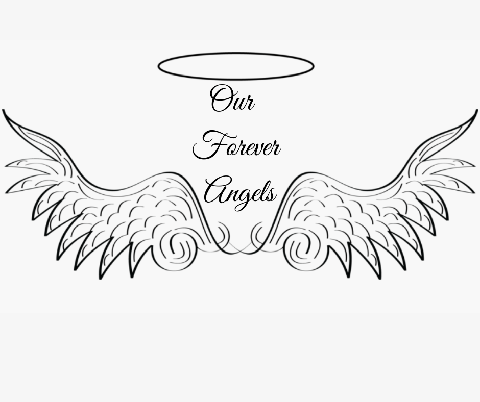 Our Forever Angels — Colville Valley Animal Sanctuary