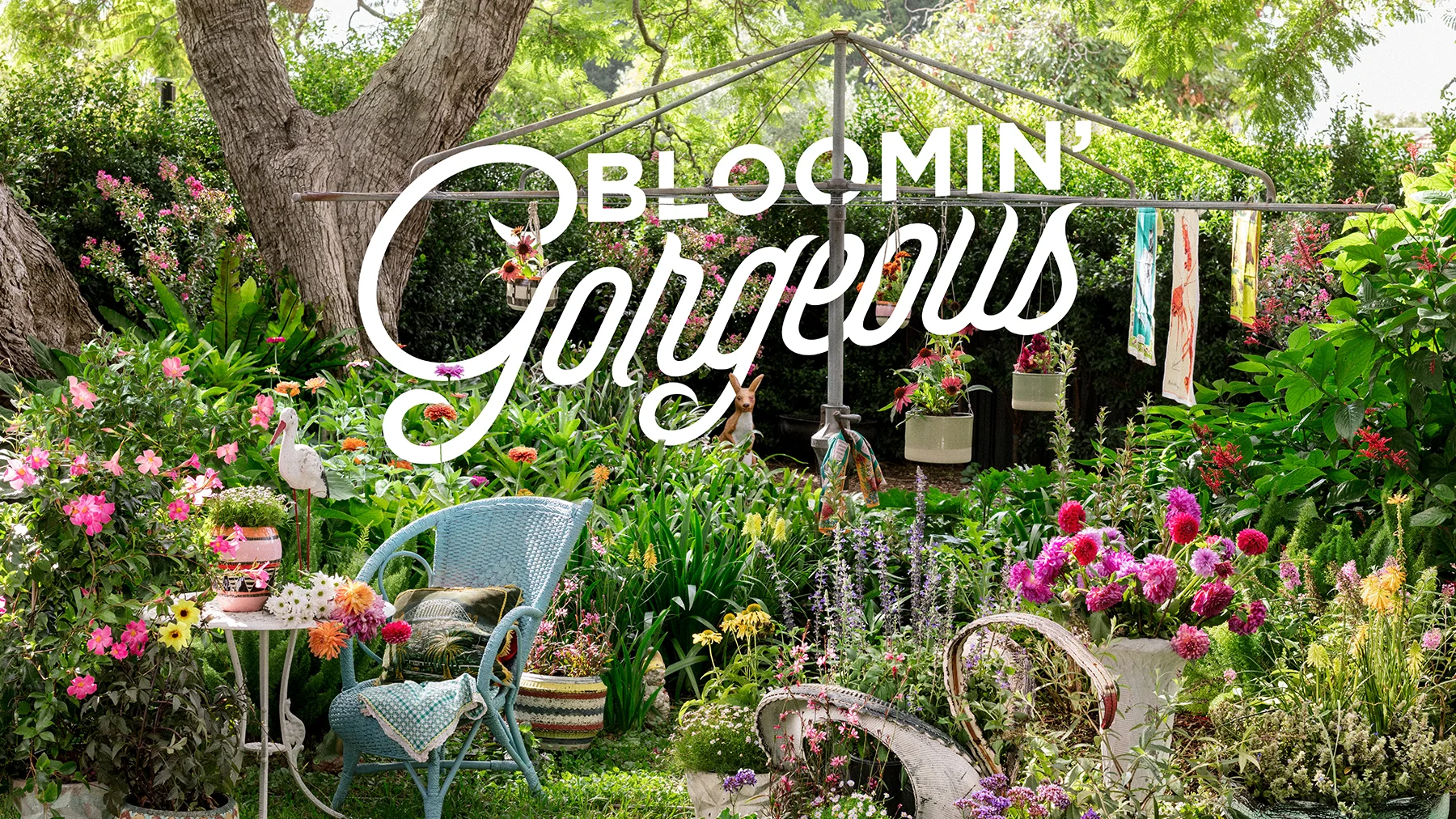 Plant Life Balance — Country Elegance Garden & Gifts