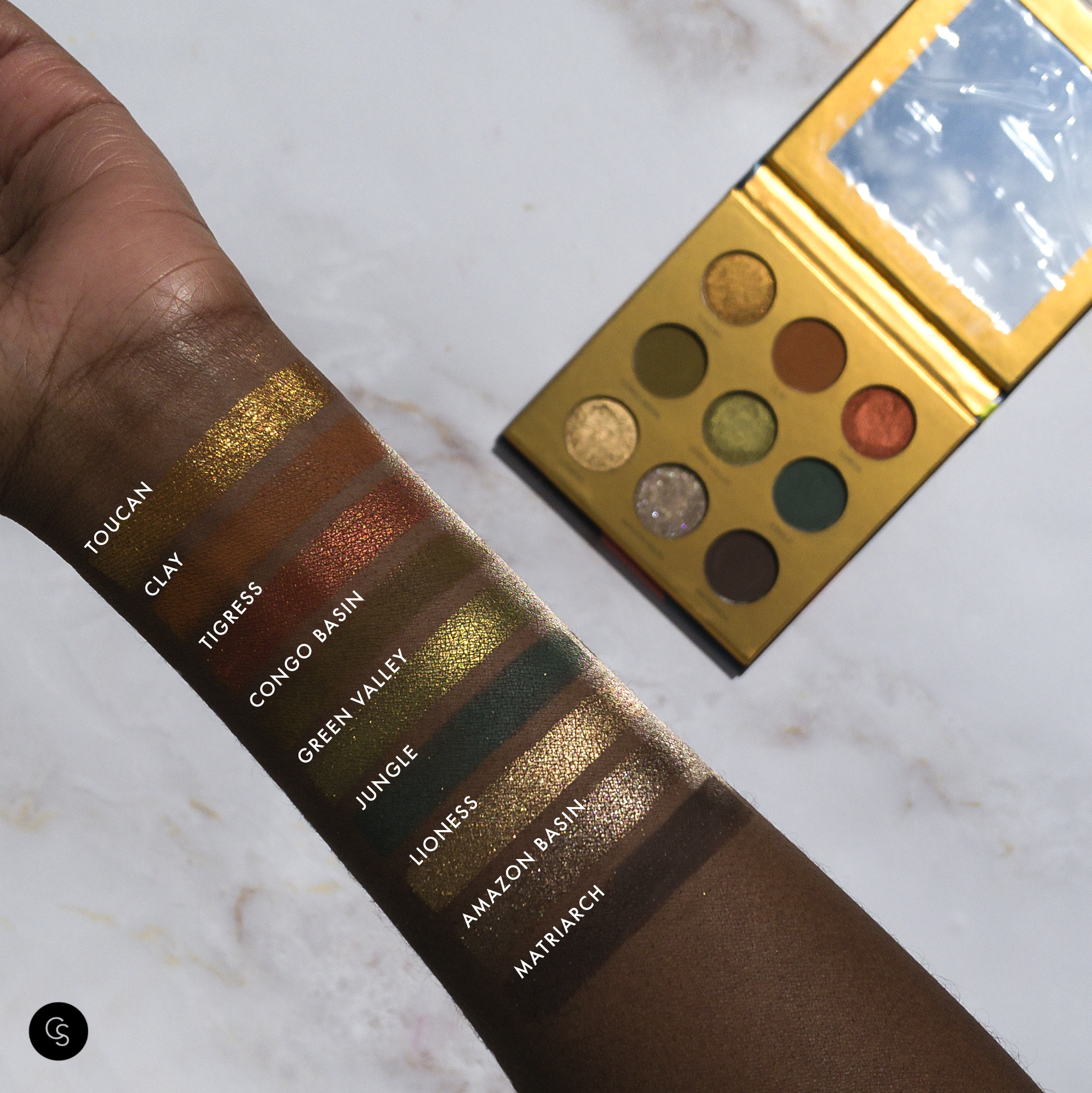 Safari Raine Eyeshadow Palette - Coloured Raine — Cocoa Swatches