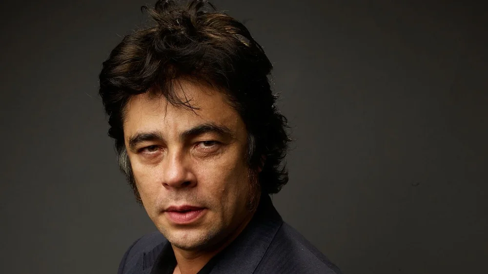 Benicio Del Toro Son