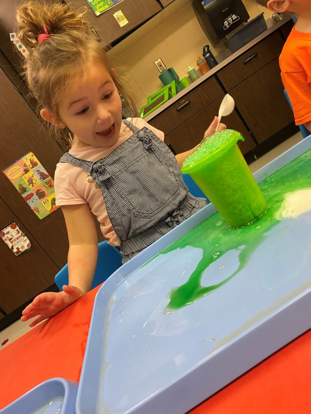 Forest Rose School — FAIRFIELD DD