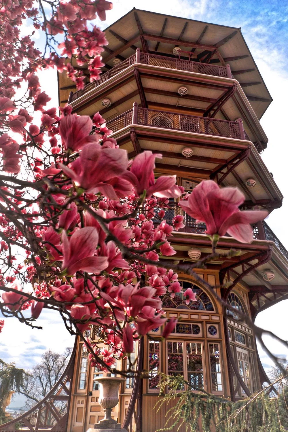 History & Nature — Friends of Patterson Park