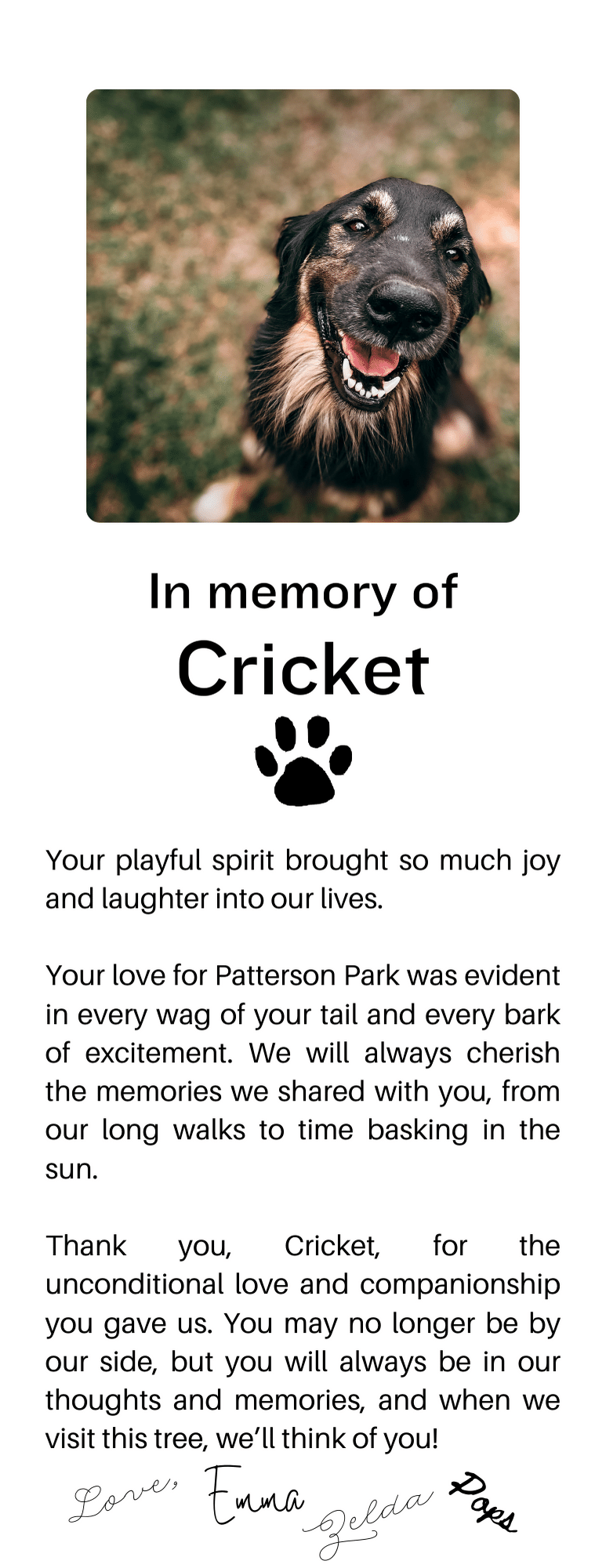 Community Tree Dedication Form — Friends of Patterson Park