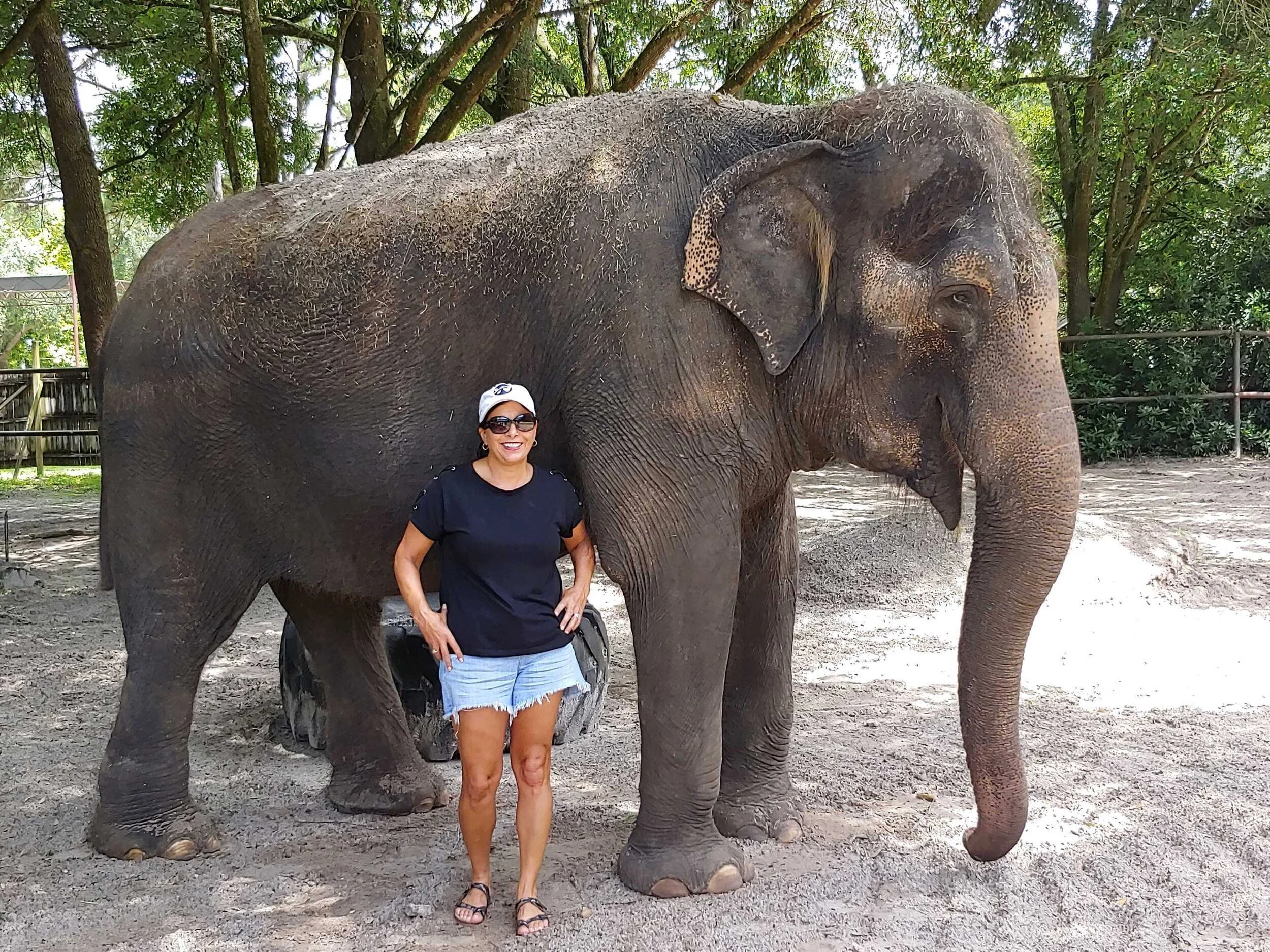 The Villages® Day Trips — Workman Transportation & Travel