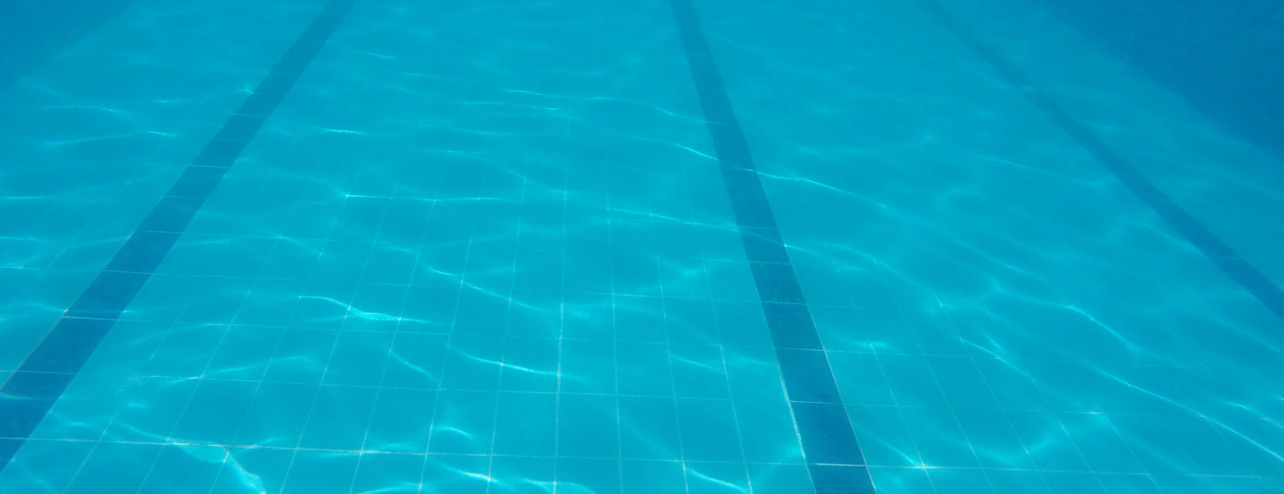 About — SAS Swimming