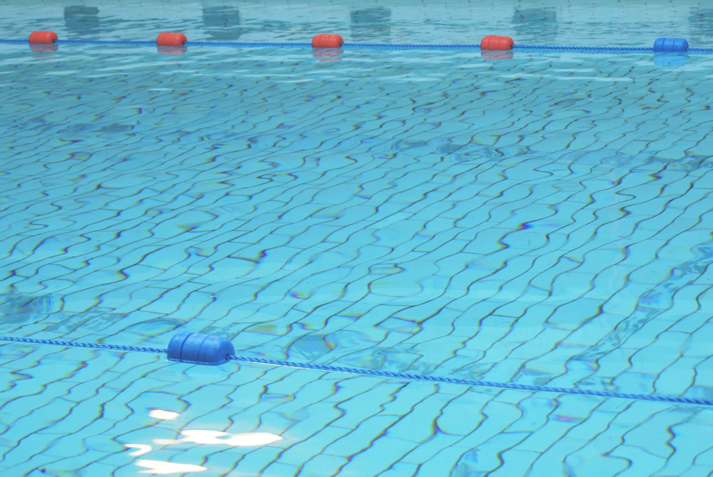 SAS Swimming SAS Swimming