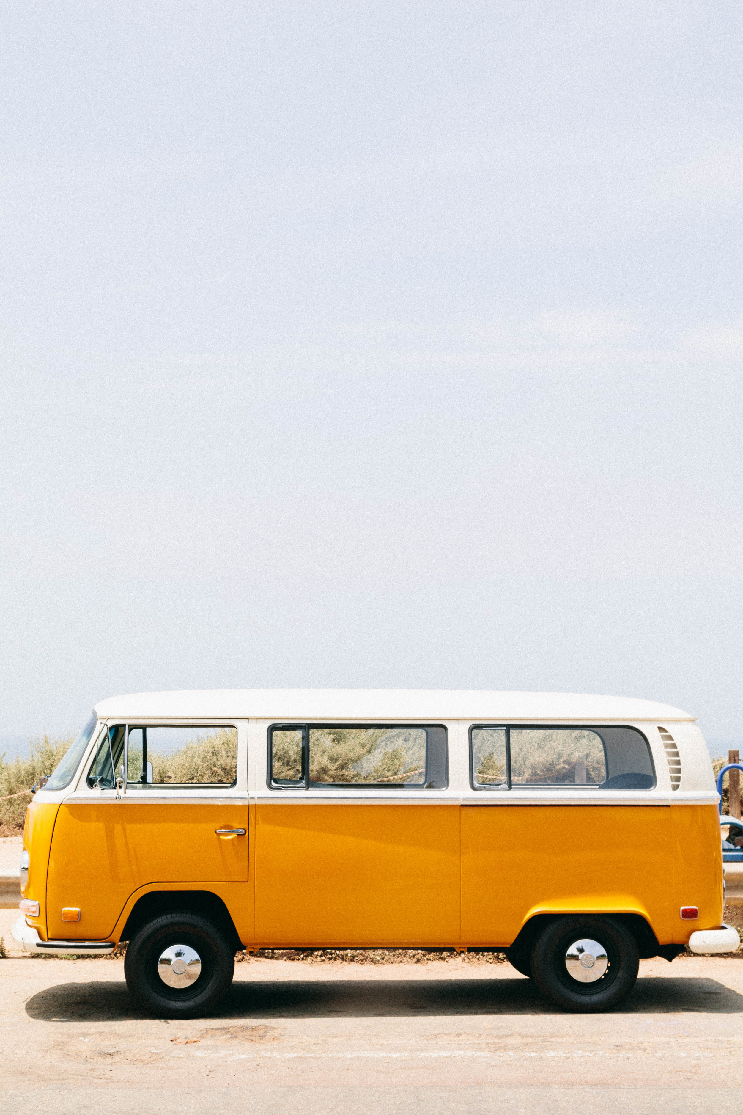 Shannon Hammond Photography
