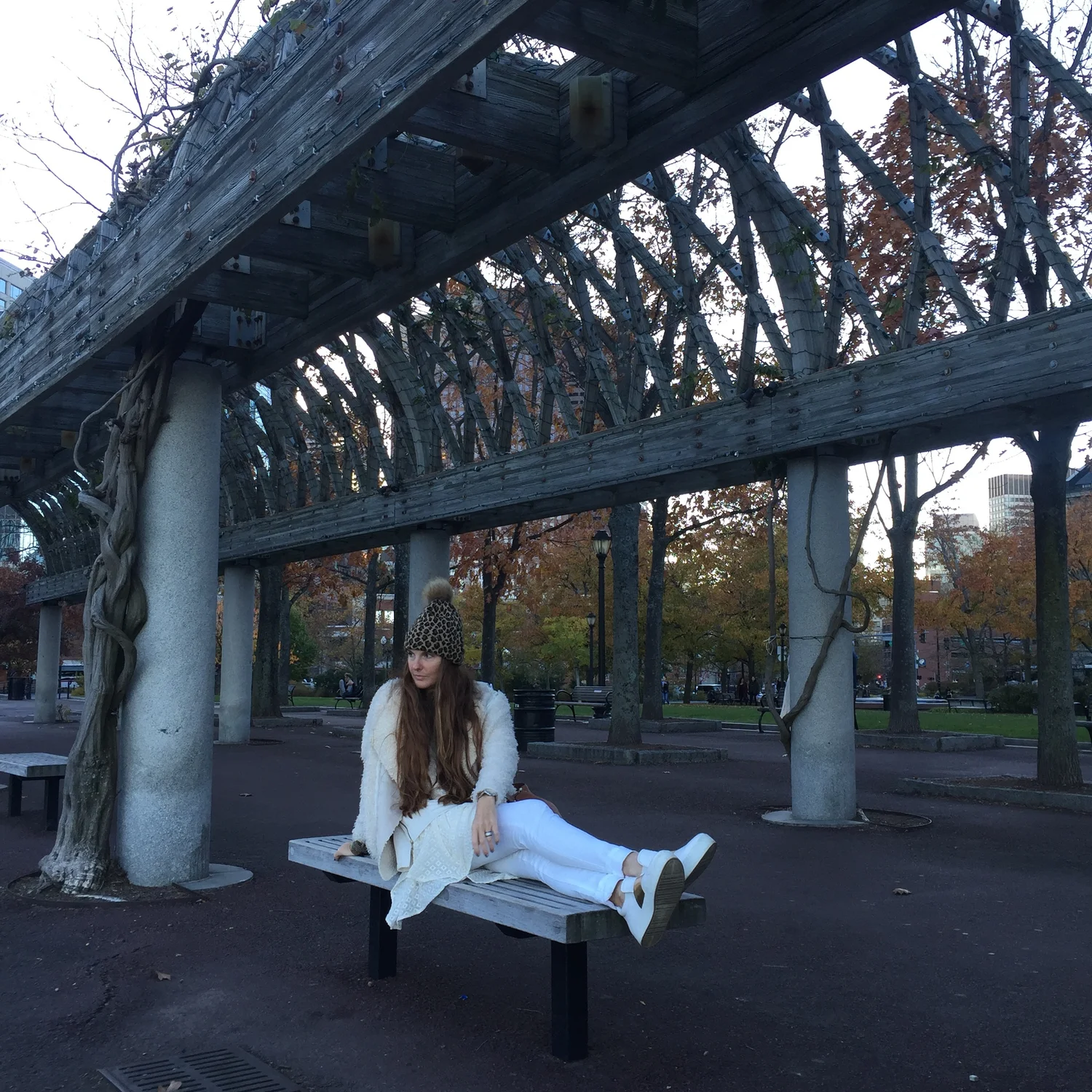 winter white — hint of hayley