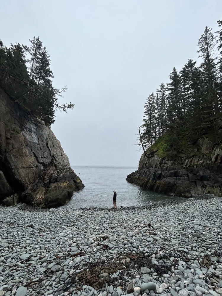 Ali Bryant — MMC Emergency medicine