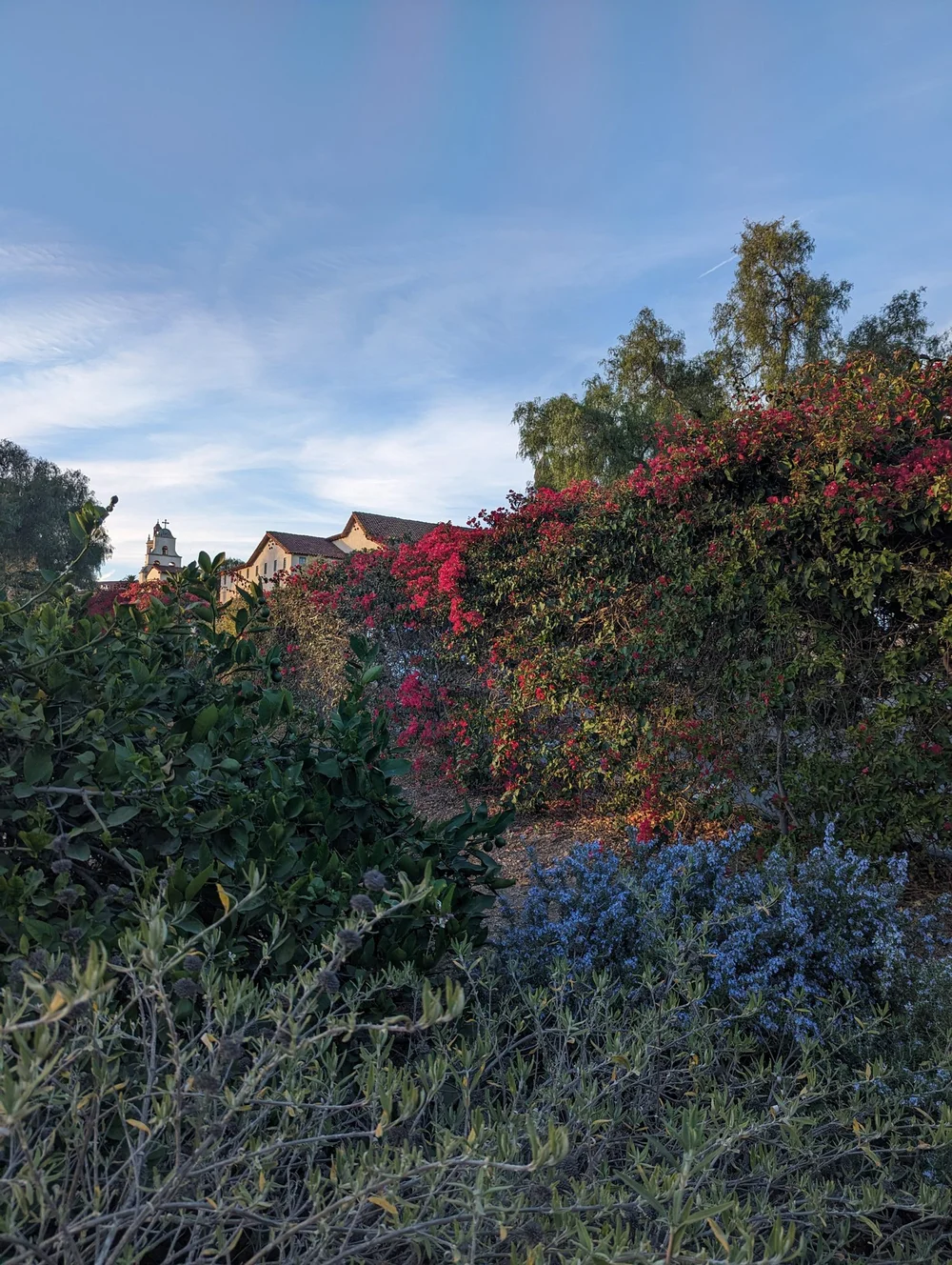 Old Mission Santa Barbara (and 1786 Church) | I’m attempting to ...