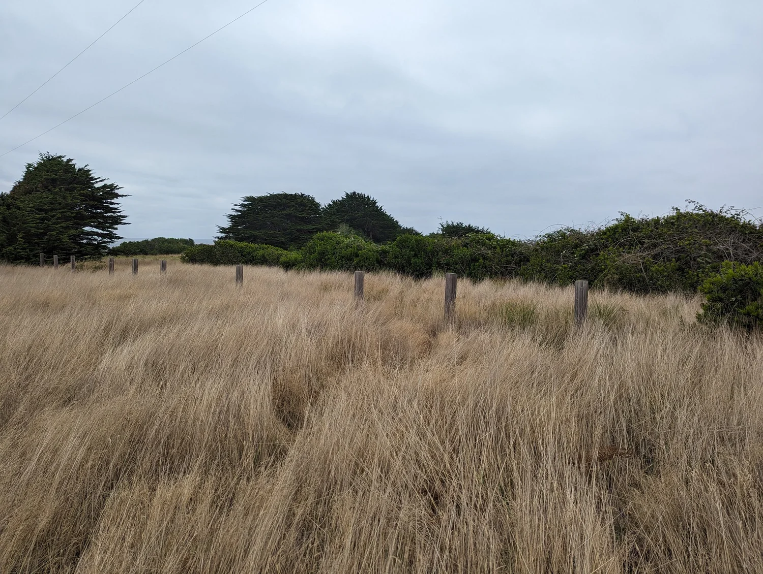 Point Cabrillo Light Station (California State Historic Park) | I’m ...