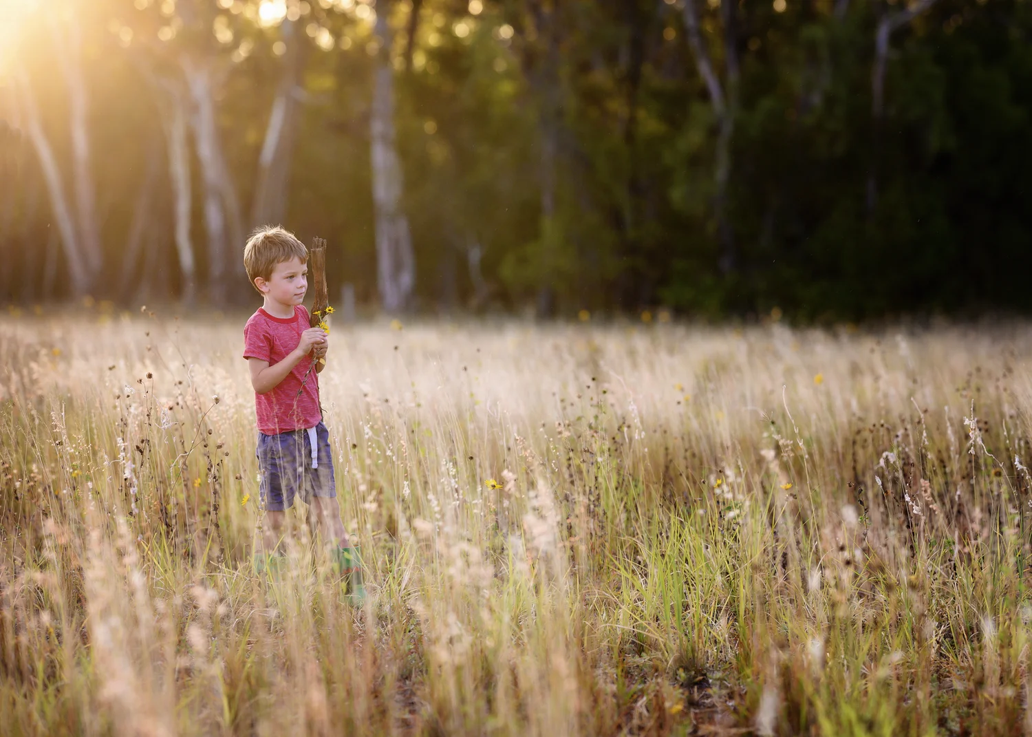 Pricing — North Brisbane & Sunshine Coast Family Photographer - Sarah ...