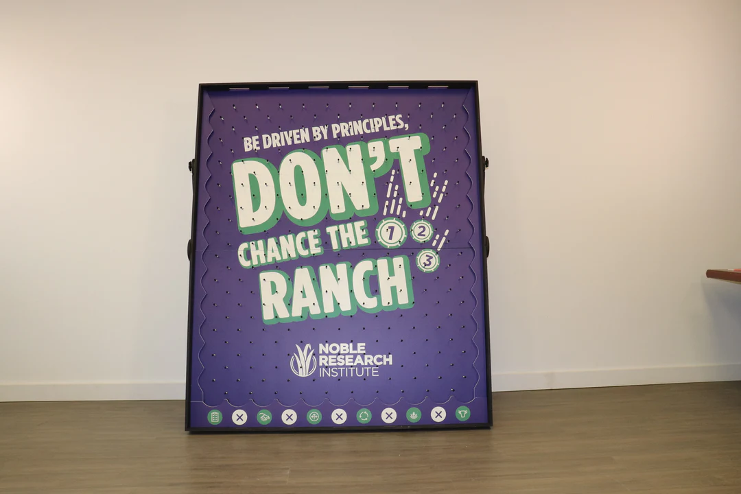 Giant Plinko Game | POP49