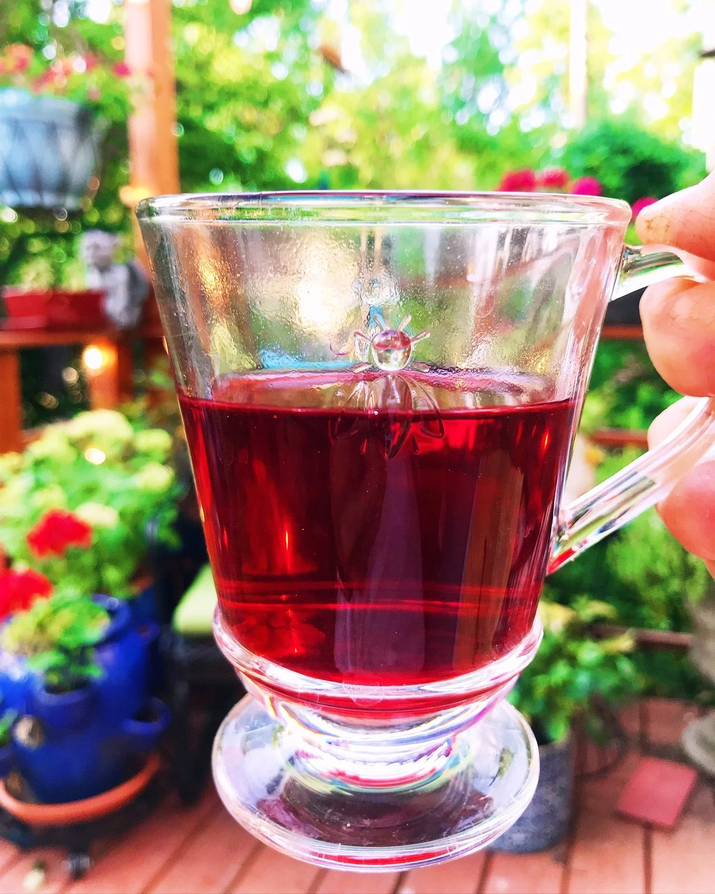 DC's finest tea purveyor - Pearl Fine Teas