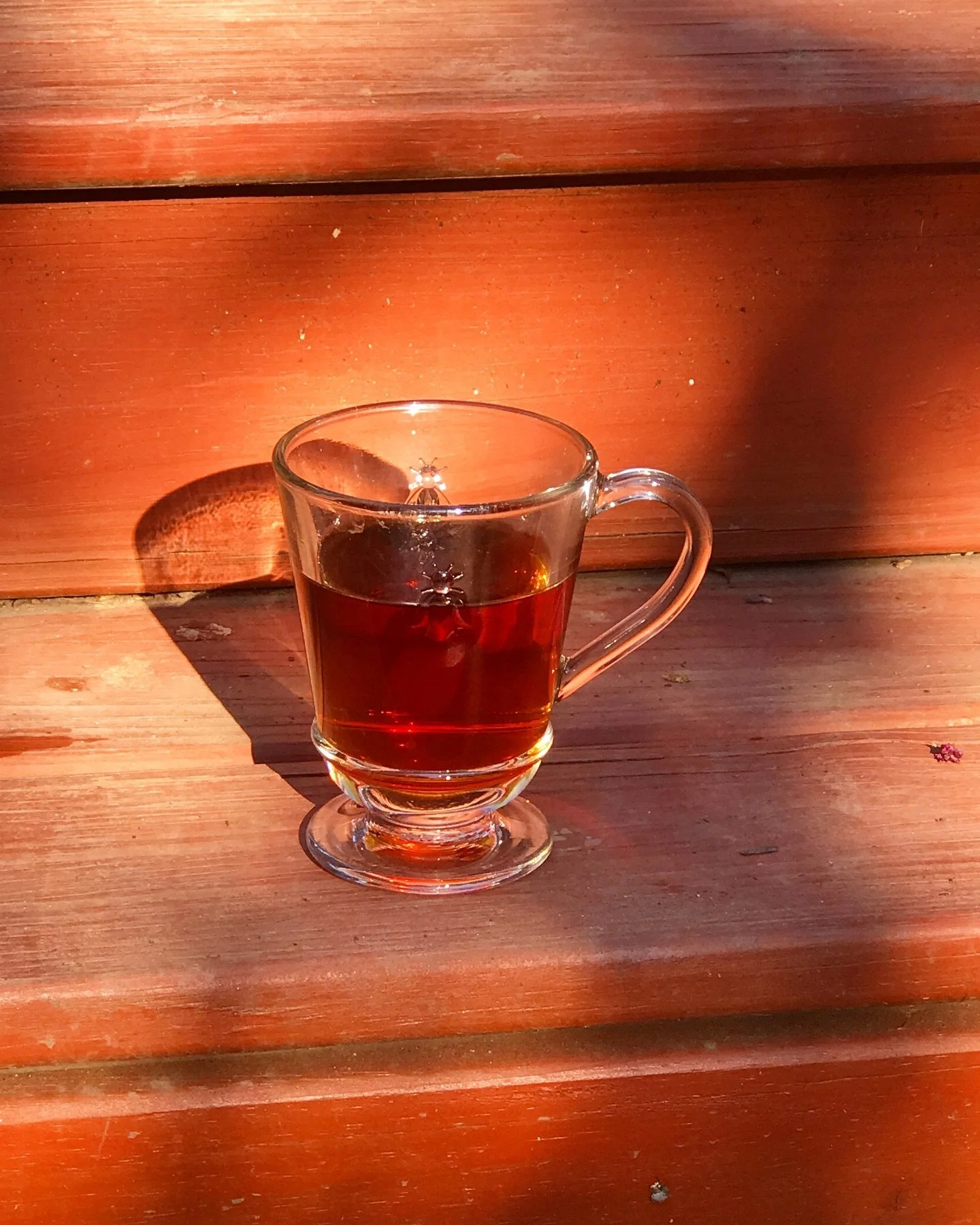 DC's finest tea purveyor - Pearl Fine Teas