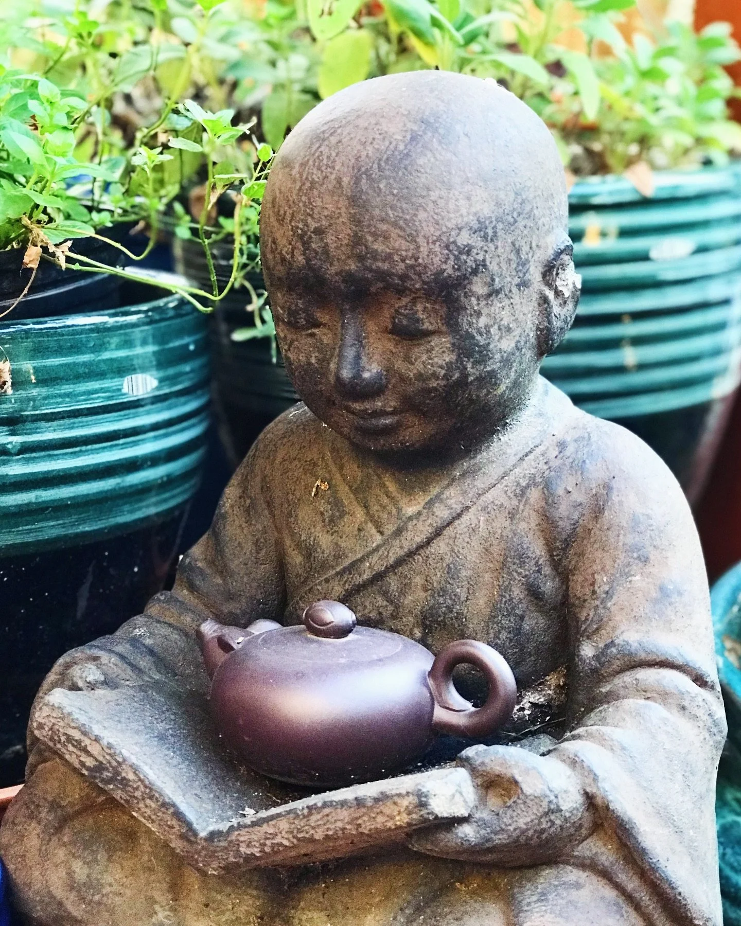 DC's finest tea purveyor - Pearl Fine Teas