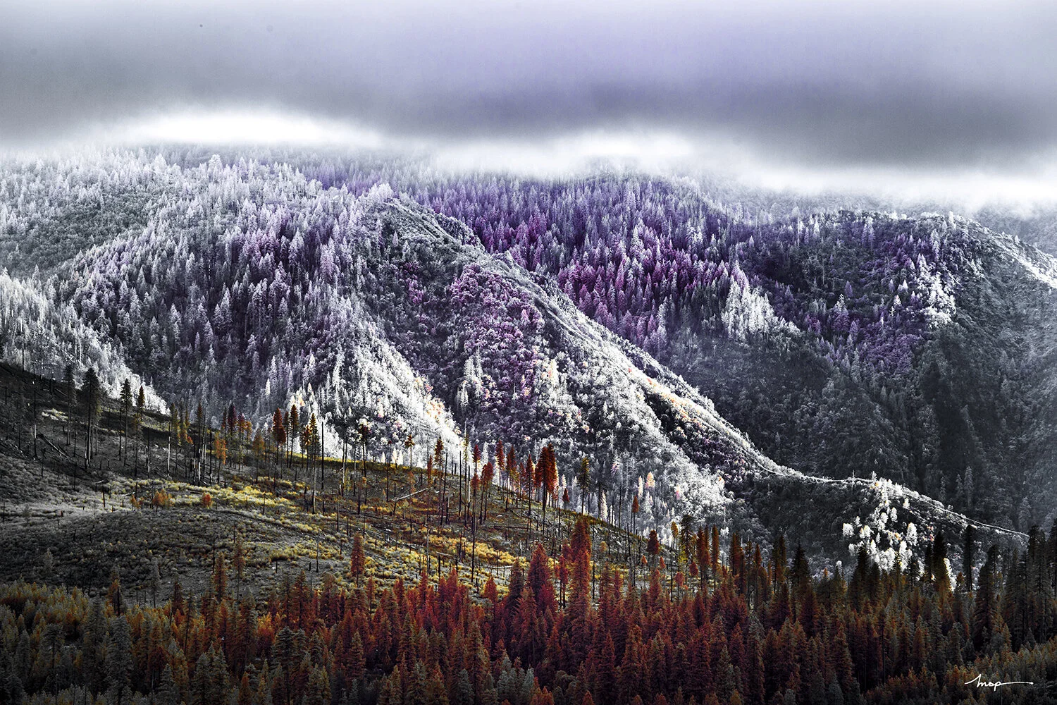 Matthew Stuart Piper Fine Art Infrared Photography Portfolios