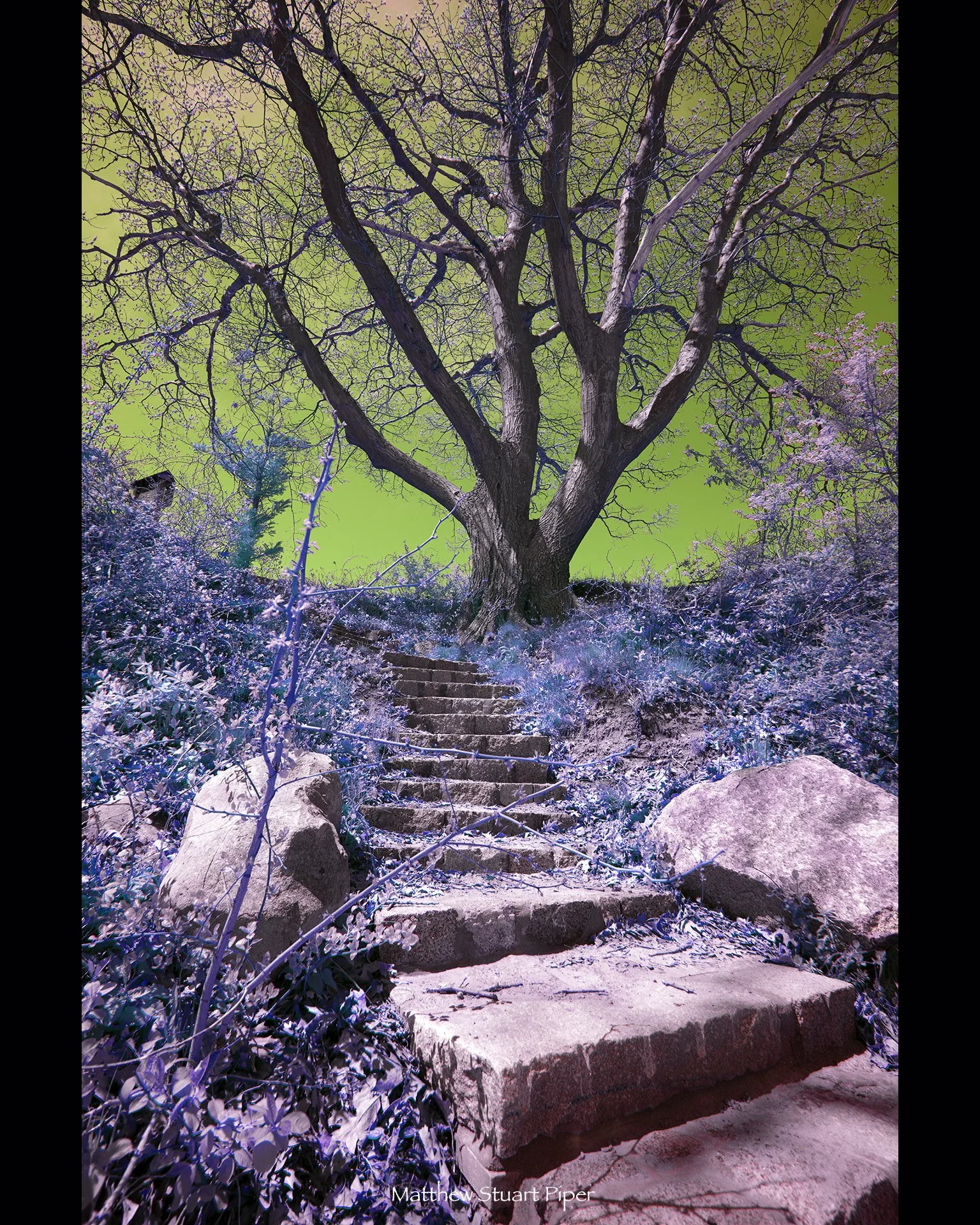 Matthew Stuart Piper Fine Art Infrared Photography Portfolios