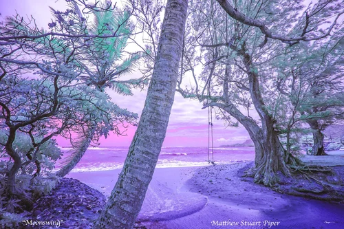 Matthew Stuart Piper Fine Art Infrared Photography