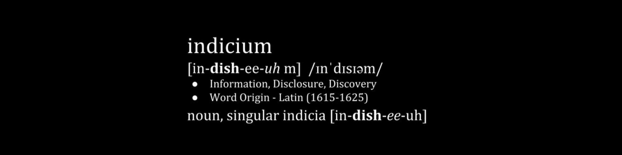 Privacy & Data governance | Indicium Consulting LLC