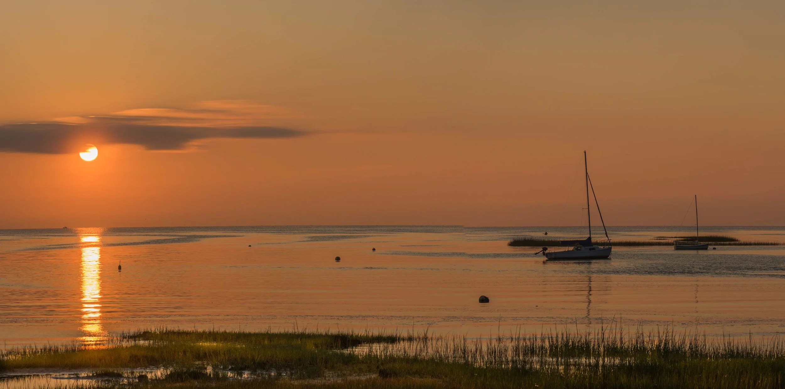 Cape Cod — Harry Agress