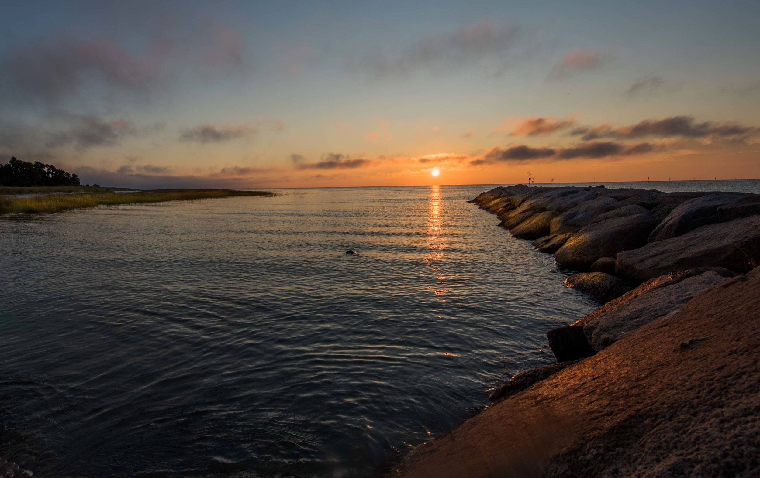 Cape Cod — Harry Agress