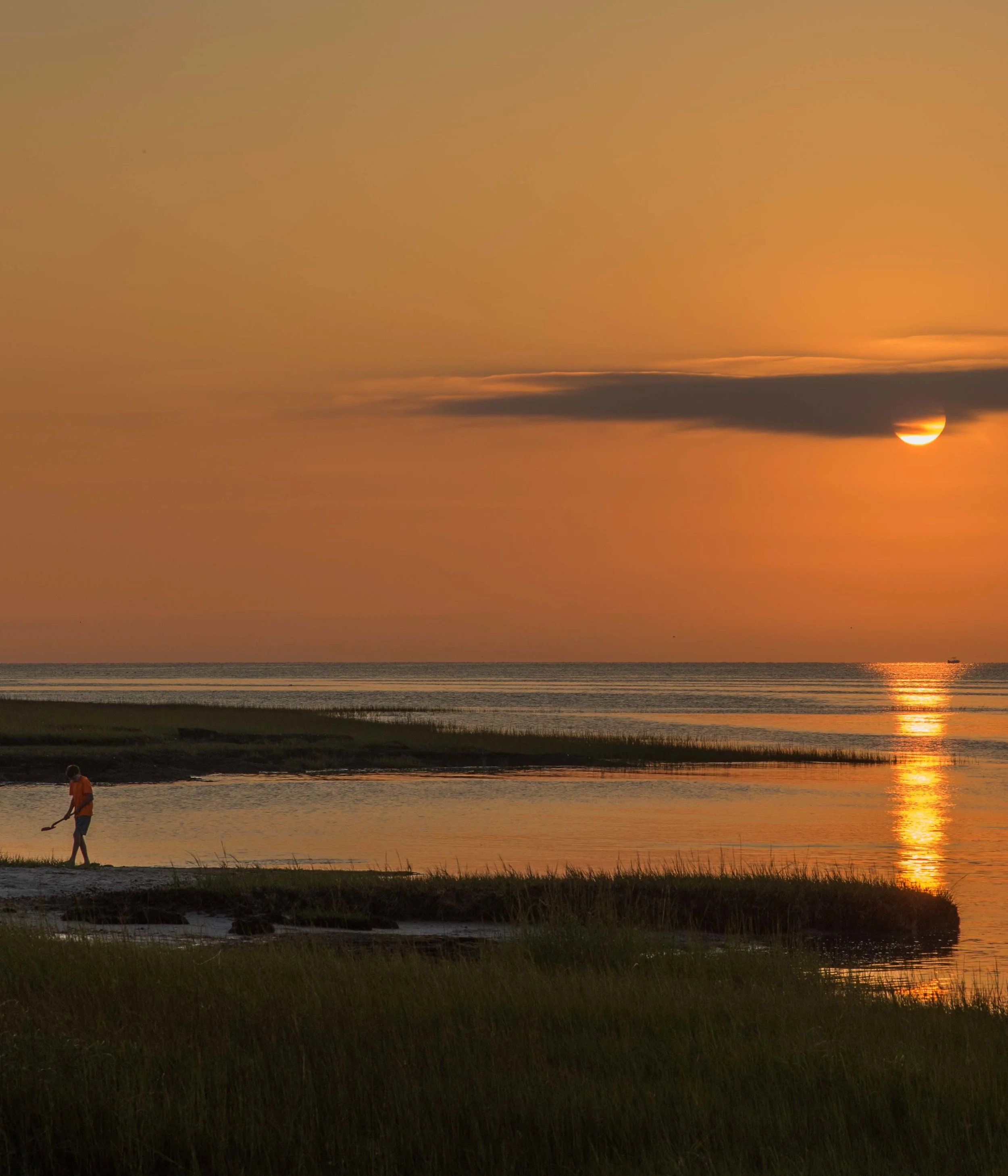 Cape Cod — Harry Agress